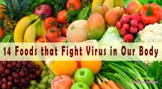 14 Must Know Foods that Fight Virus in Our Body