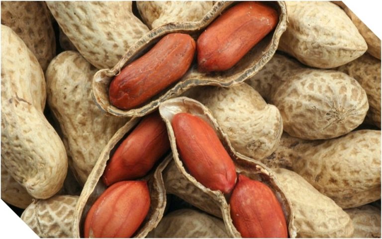 Amazing Health Benefits of Peanuts in Your Child's Diet