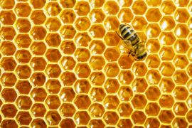 All You Need to Know About Trypophobia | Parenting Healthy Babies