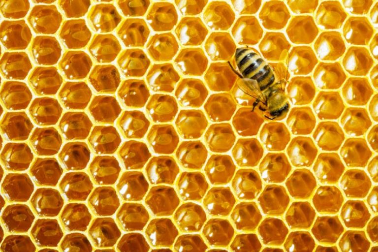 All You Need to Know About Trypophobia | Parenting Healthy Babies